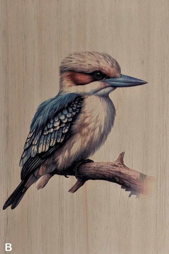 Native Birds – nitchi design